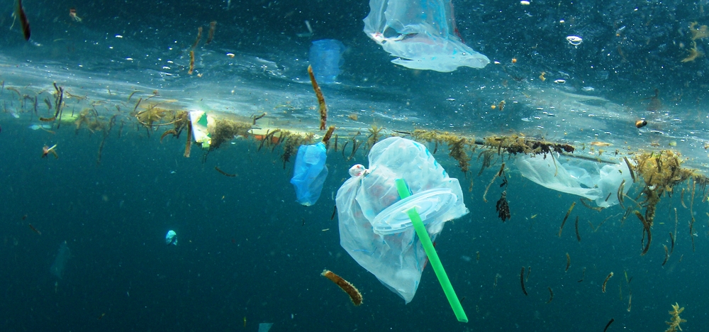 California's straw law draws attention - Capitol Weekly | Capitol ...
