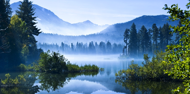 California must defend its environmental protection laws - Capitol ...