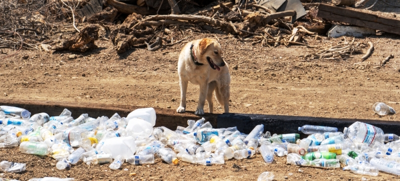 New law takes targets truth in advertising - especially plastics ...